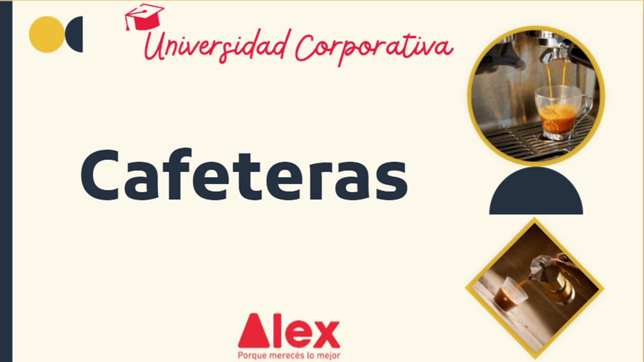 Alex S.A - Elearning